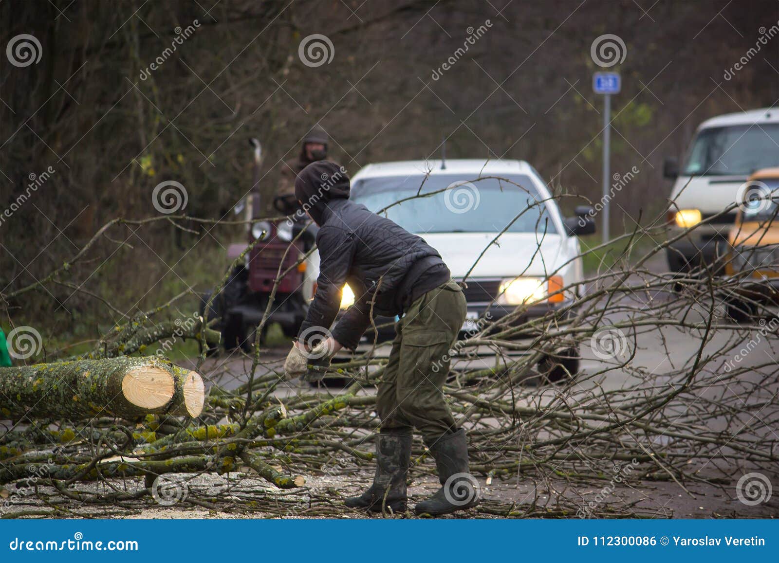 Worker Cuts a Fallen Tree on Road Stock Photo - Image of occupation ...
