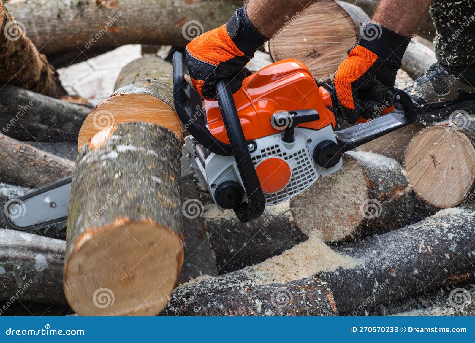 The Worker Cutting the Tree with a Chainsaw Stock Image - Image of ...