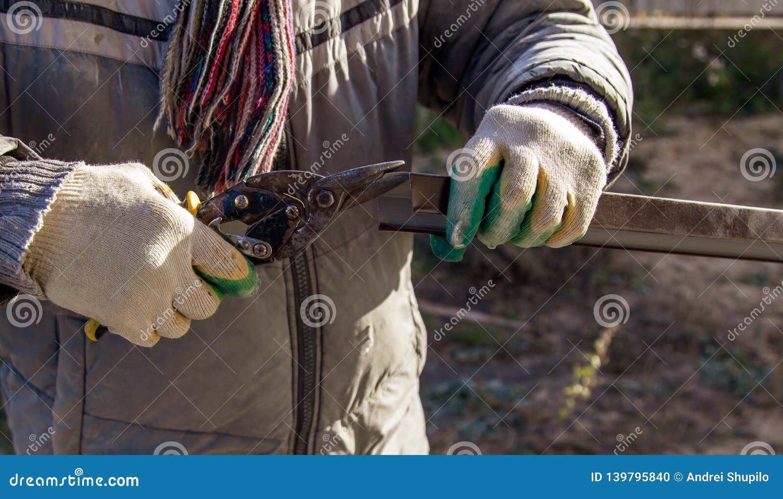 Worker Cuts Metal with Scissors at a Construction Site Stock Photo ...
