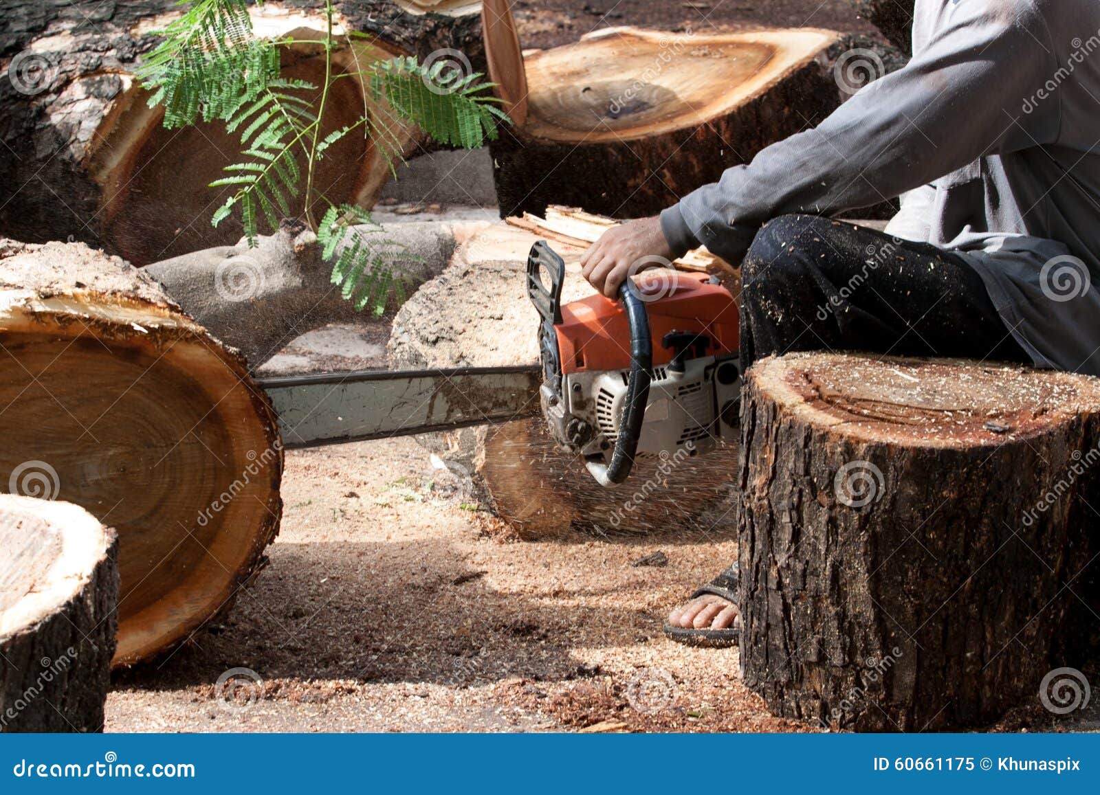 Worker cutting bark wood stock image. Image of bark, theme - 60661175