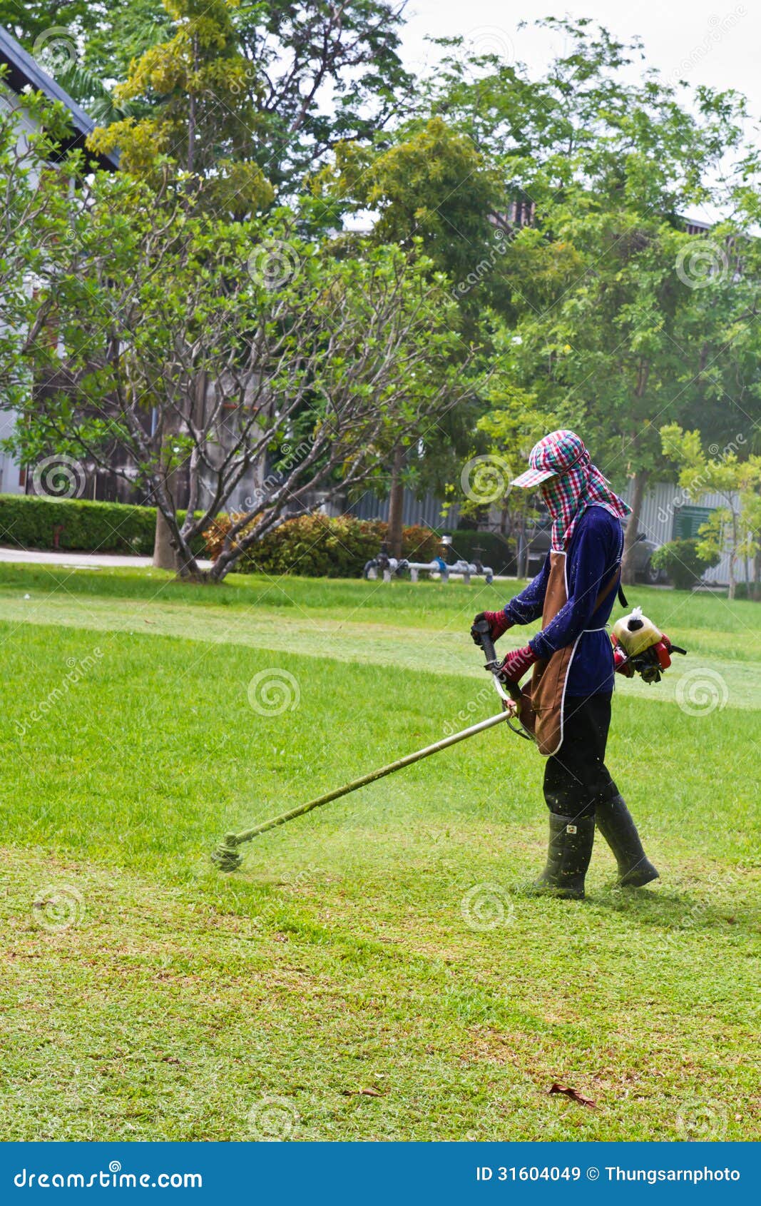 Worker is cutting grass stock image. Image of nature - 31604049
