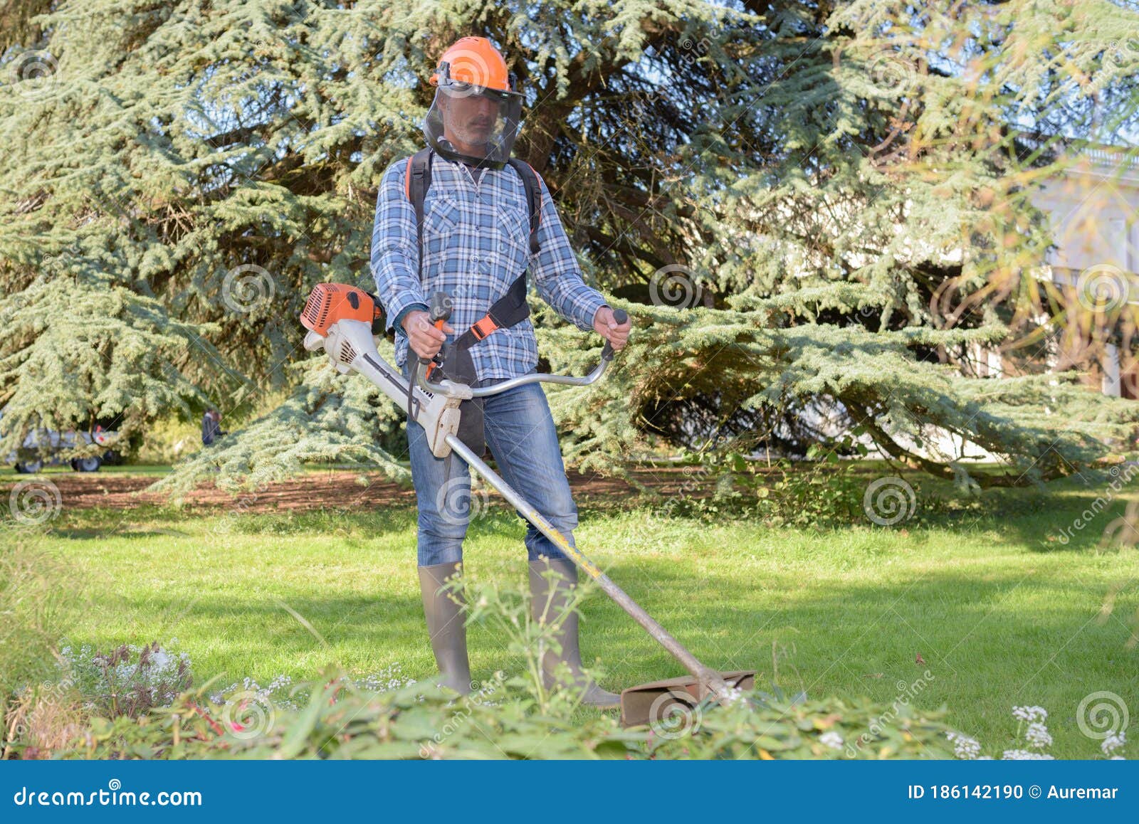 Worker Cutting Grass in Garden with Weed Trimmer Stock Photo - Image of ...