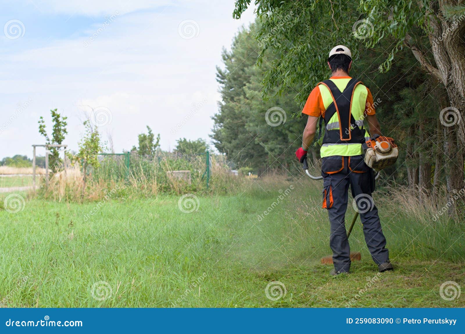 Worker cutting grass stock photo. Image of person, care - 259083090