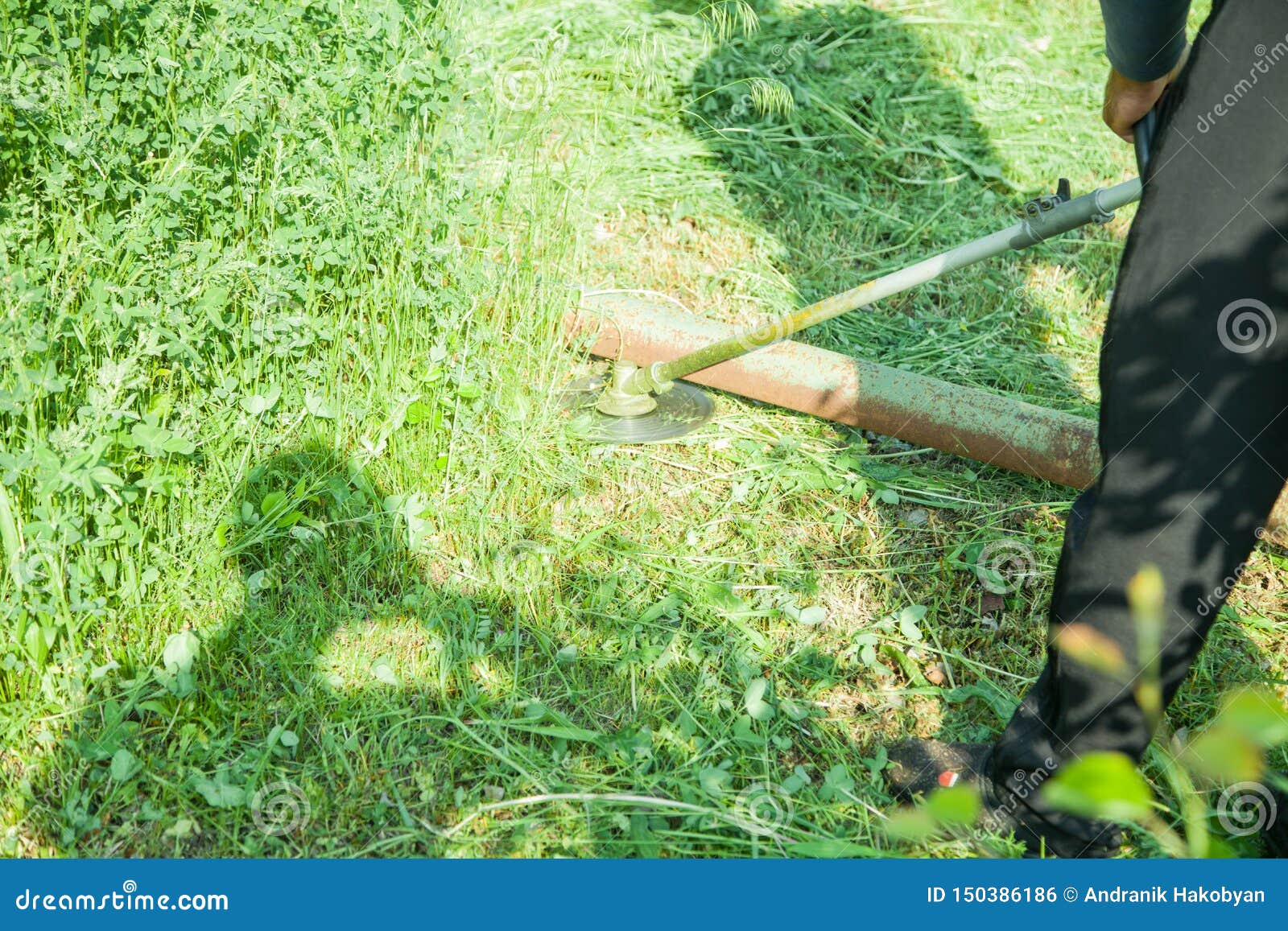 Worker Cutting Grass with a Grass Trimmer Stock Photo - Image of worker ...