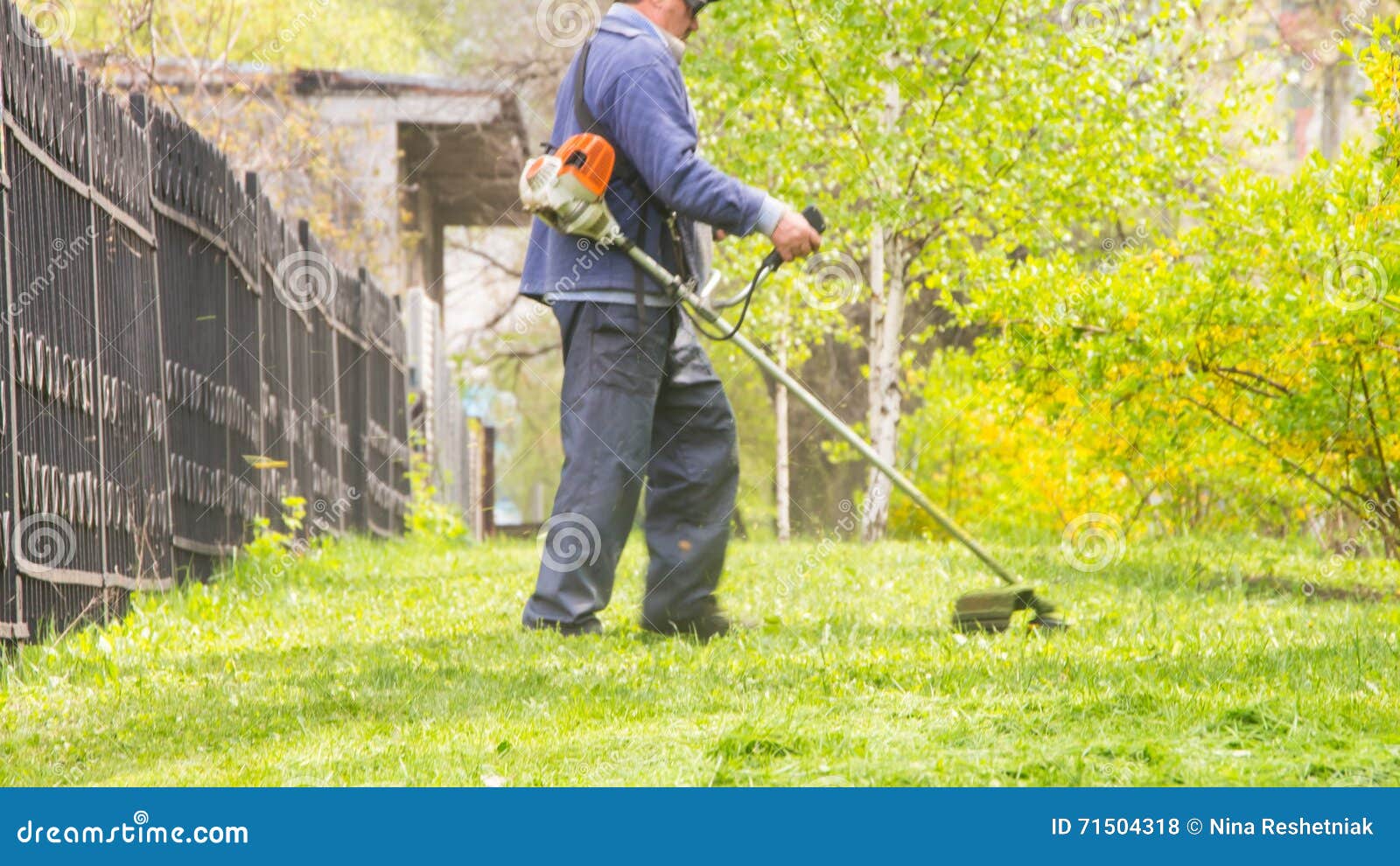 Worker cutting grass stock photo. Image of activity, lawnmowing - 71504318