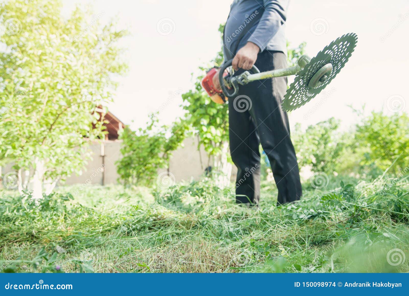 Worker Cutting Grass with a Grass Trimmer Stock Photo - Image of ...