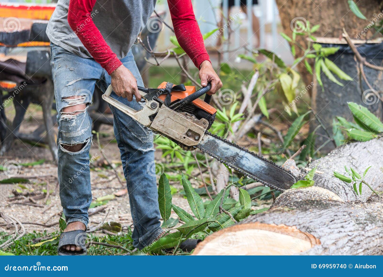 Worker Cutting Timber Tree with Chainsaw . Stock Photo - Image of ...