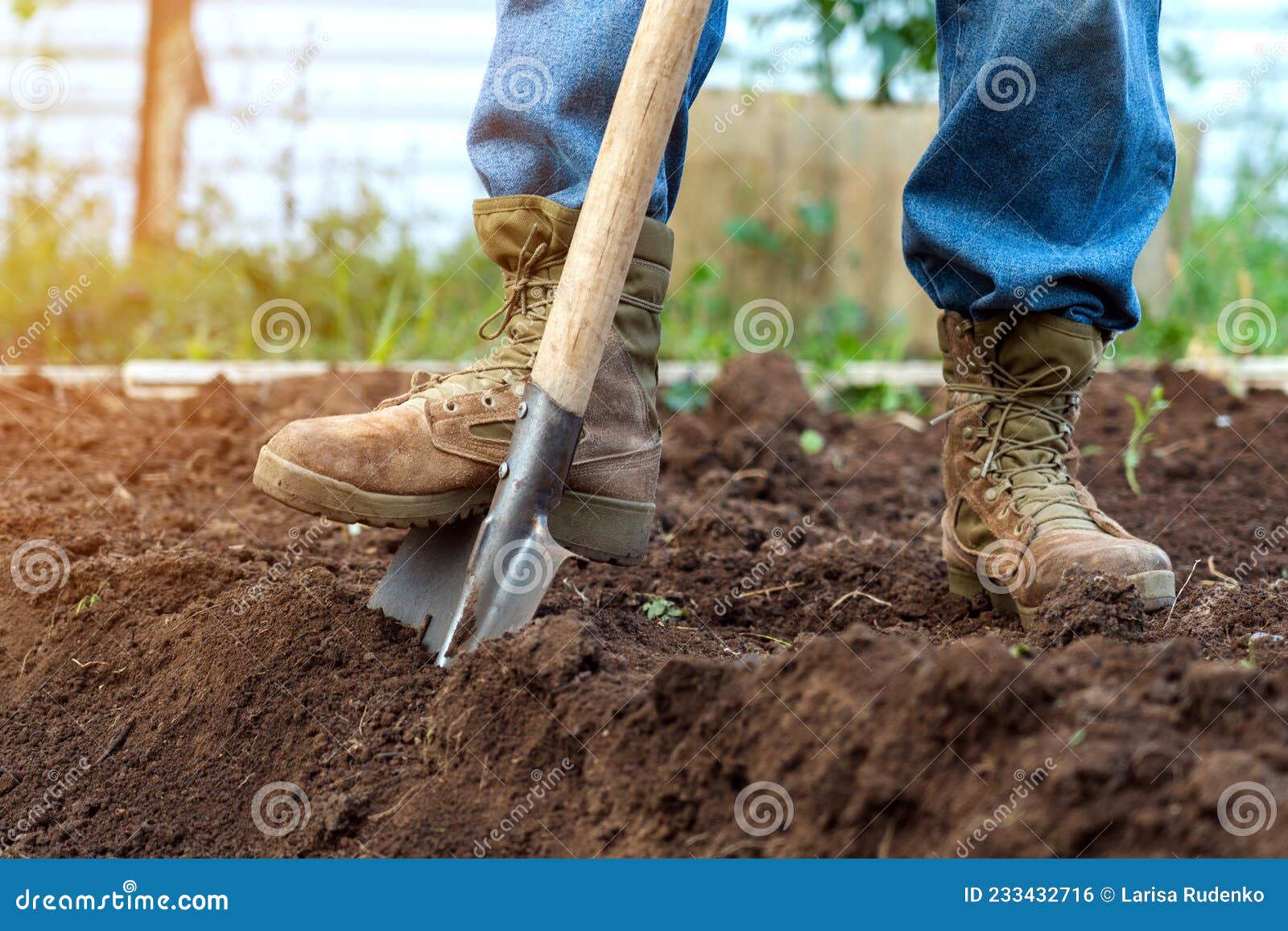 A Worker Digs the Ground on a Garden Plot, a Close-up of a Shovel of a ...