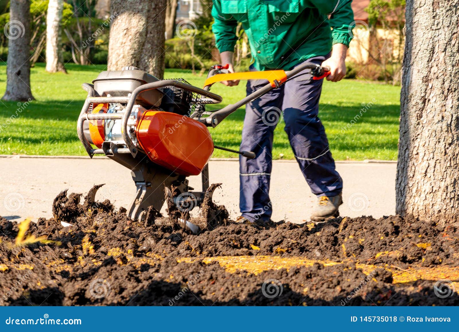 A Worker Digs the Ground in a Park Around a Tree Using Landscape ...