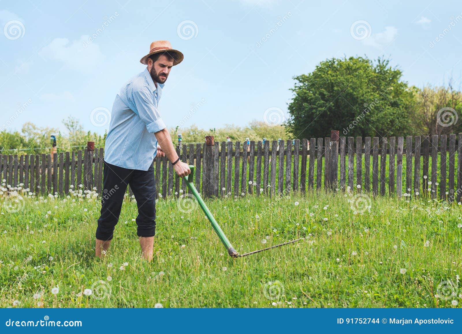 Worker in the field stock photo. Image of farming, clover - 91752744