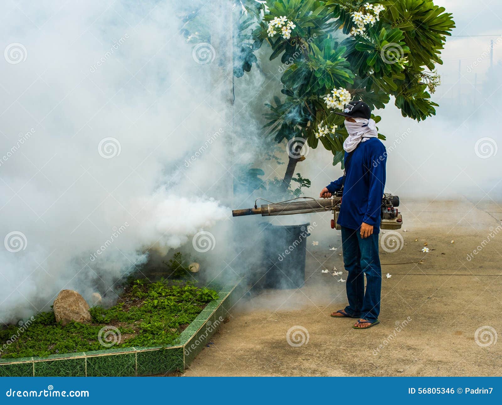 Worker Fogging for Dengue Control Stock Photo - Image of killed ...
