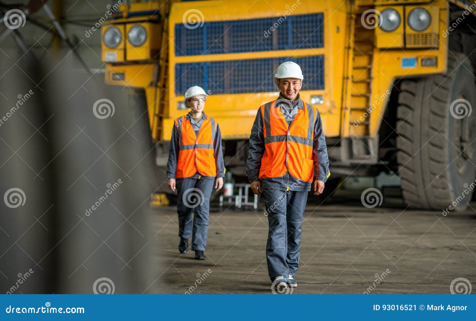 Worker in Front of a Bug Truck Stock Image - Image of industry, machine ...