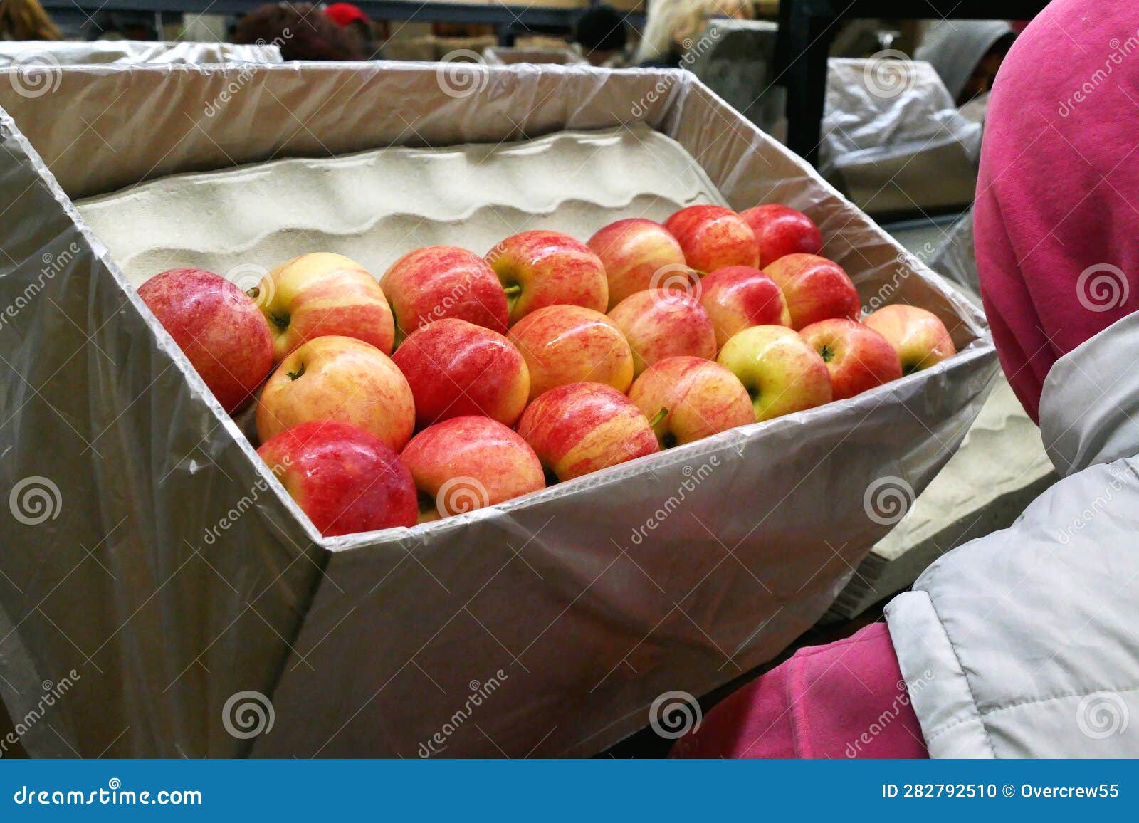 Apples in a Basket stock photo. Image of delicious, apples - 282792510