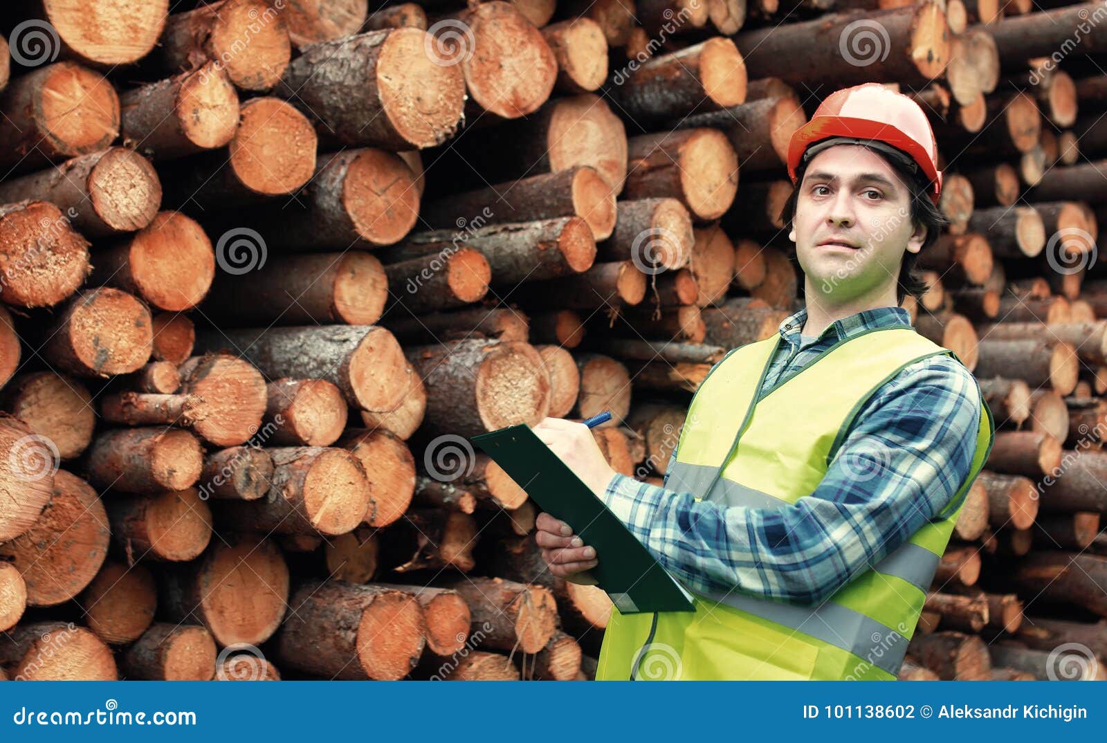 Worker in Helmet Counts Wood Lumber Stock Photo - Image of business ...