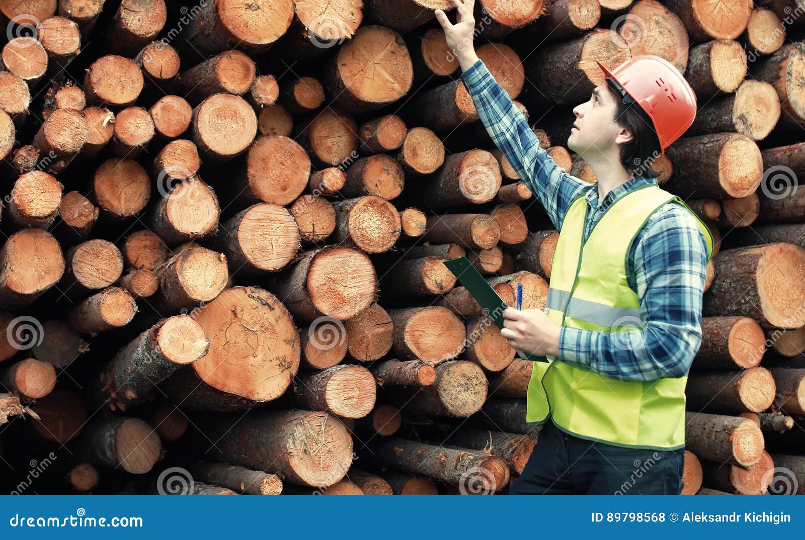 Worker in Helmet Counts Wood Lumber Stock Photo - Image of forestry ...