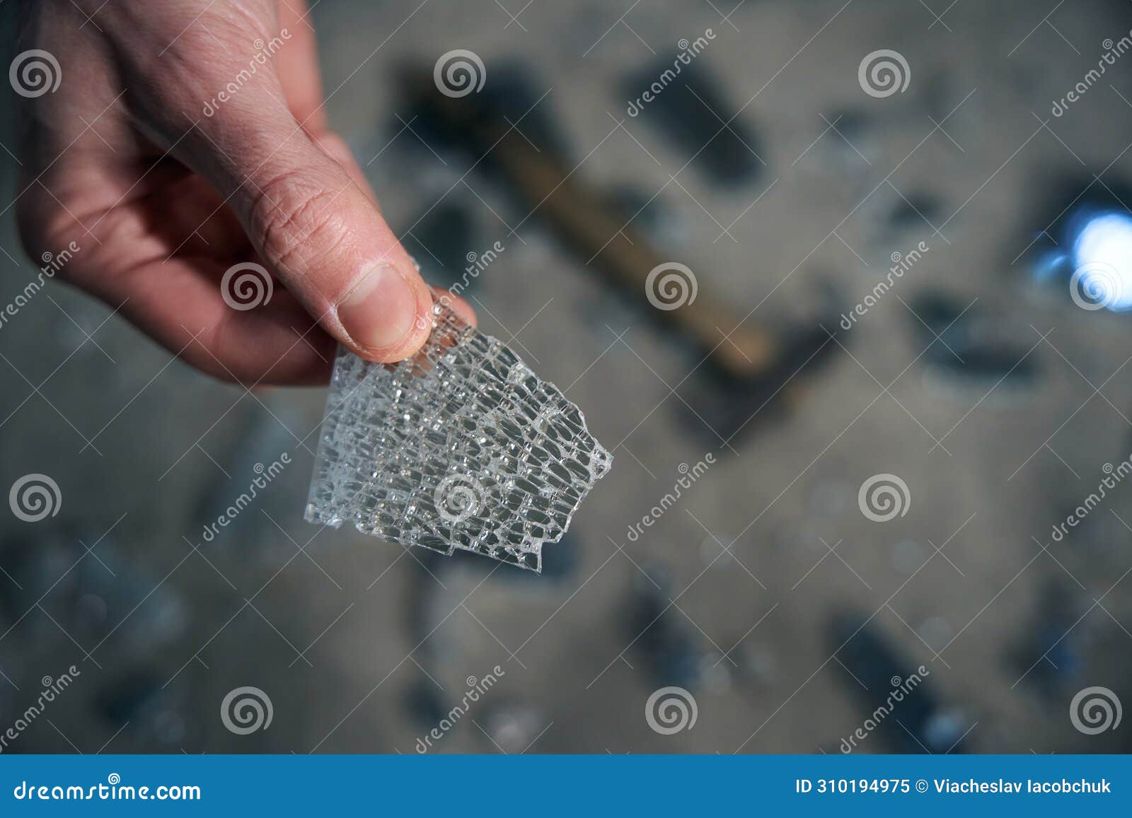 Worker Holds a Piece of Triplex Glass in His Hands Stock Image - Image ...