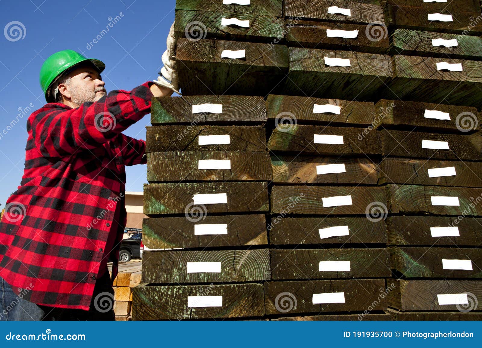 Worker Inspecting Wood in Front of Hard Wood Pile Stock Photo - Image ...