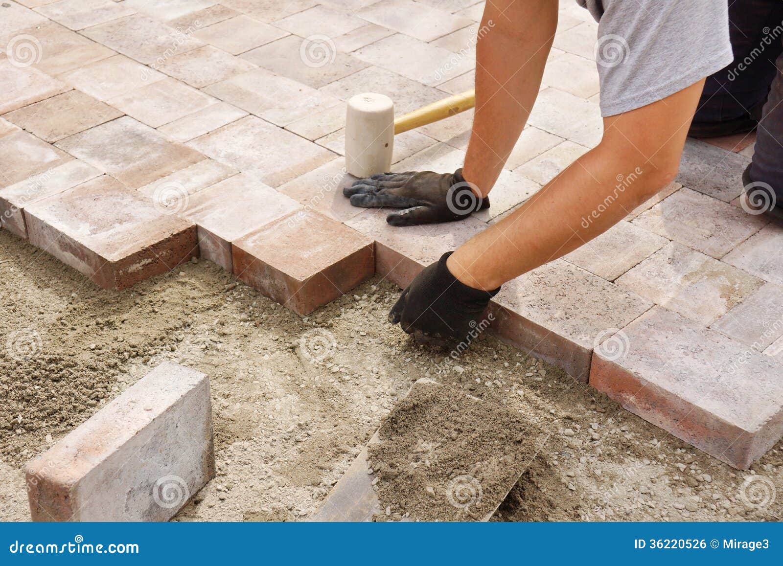 Worker installing paver stock photo. Image of paving - 36220526