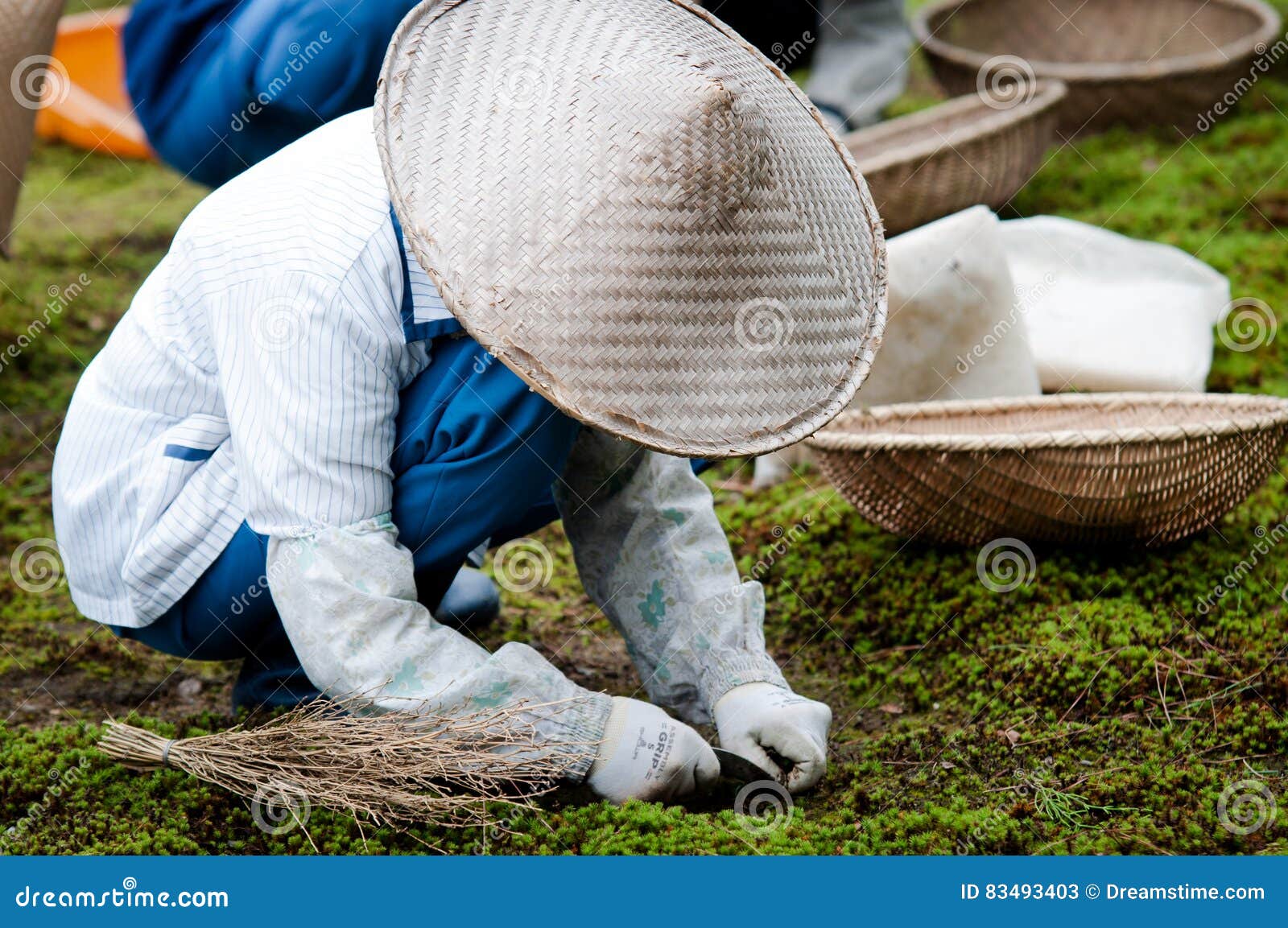 Worker in japan editorial stock photo. Image of japan - 83493403