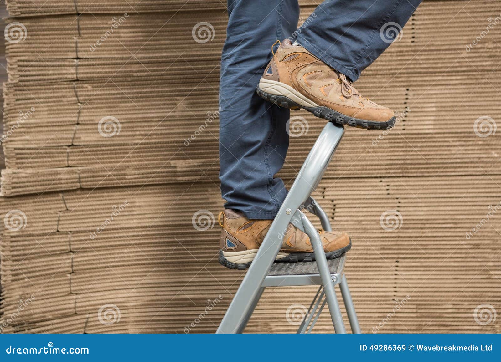 Worker on Ladder in Warehouse Stock Image - Image of supply, occupation ...
