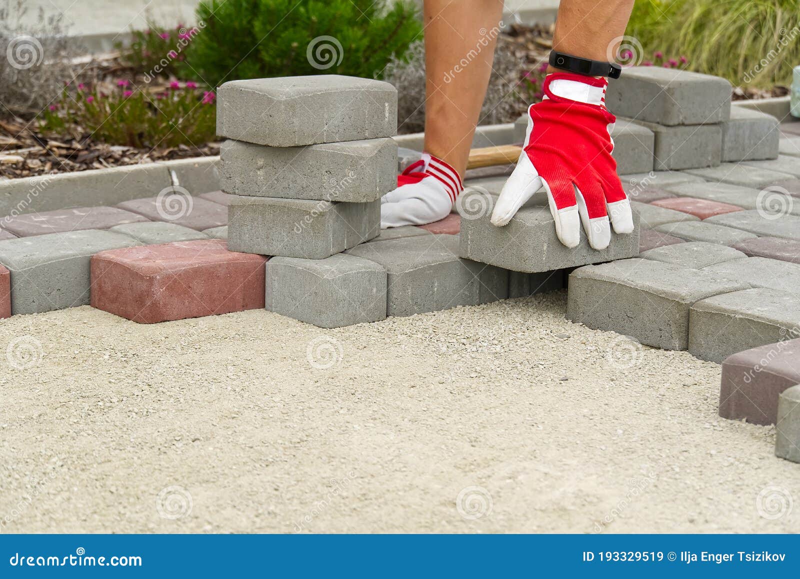 Worker Laying Paving Stones. Stone Pavement, Construction Worker Laying ...