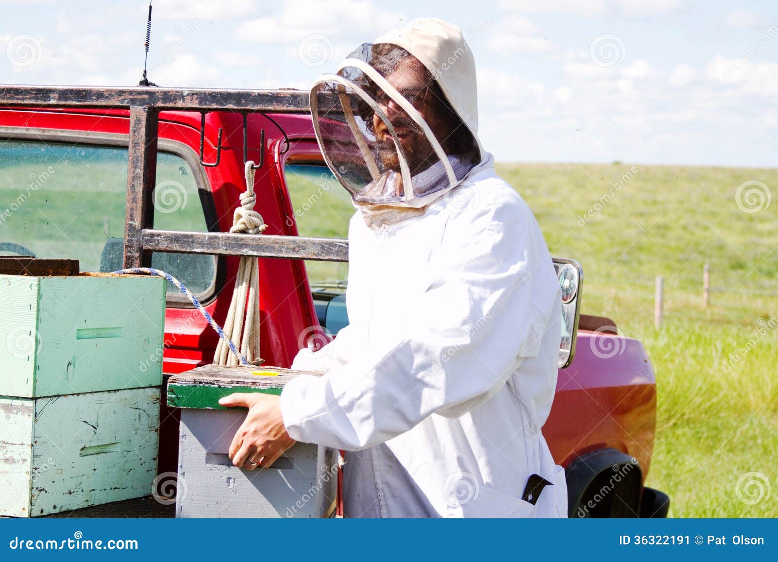 Worker Loading Beehives on Truck Stock Image - Image of beehives ...