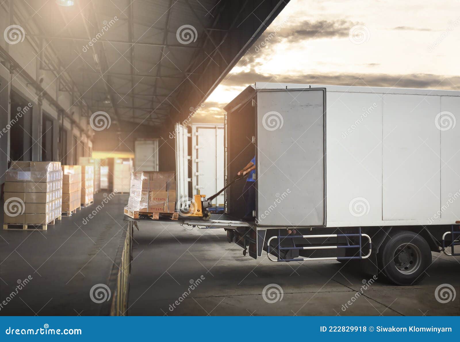 Worker Loading Package Boxes on Pallets into Cargo Container. Trucks ...