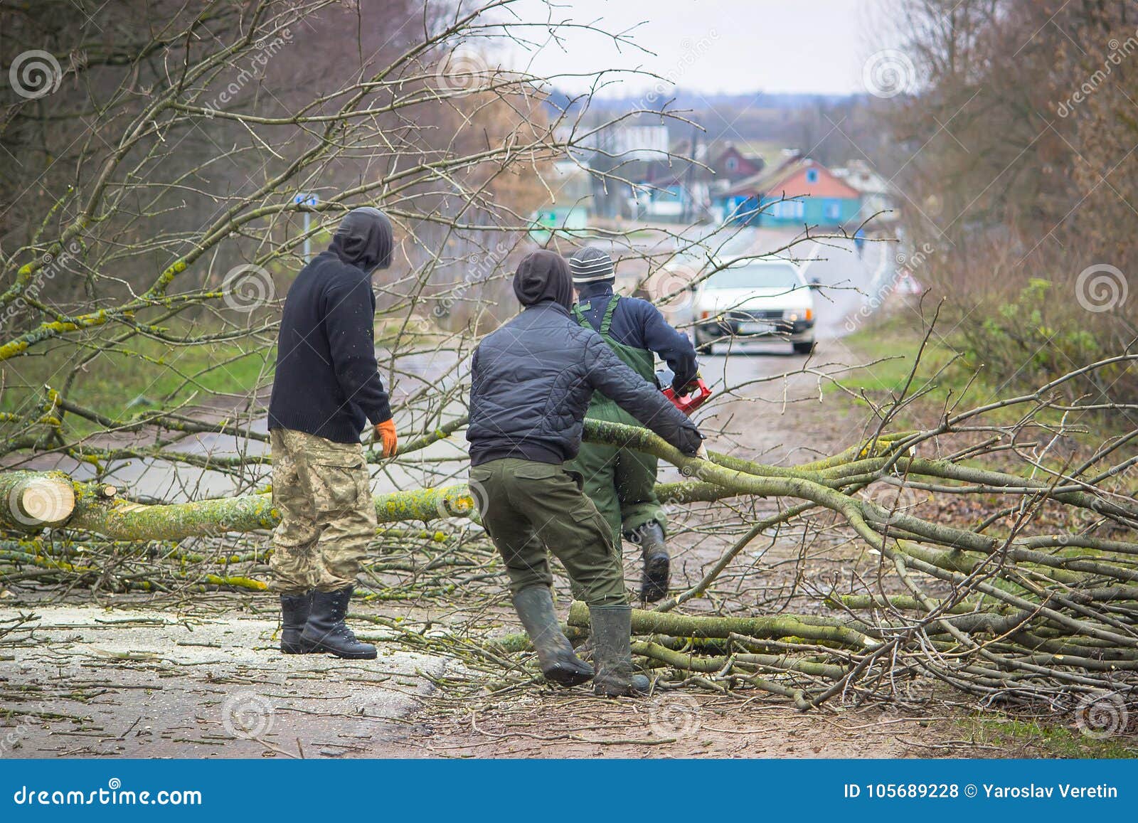 Worker Lumberjack Cuts Fallen Tree on the Road Editorial Stock Photo ...