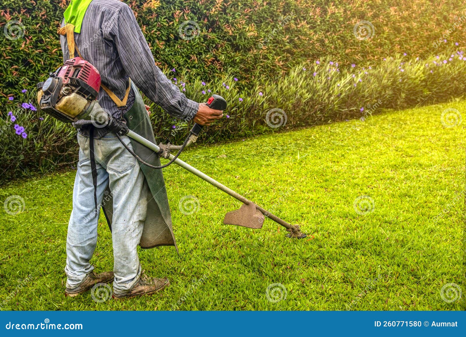 Worker Man Mows the Lawn Grass with a Lawn Mower Stock Photo - Image of ...