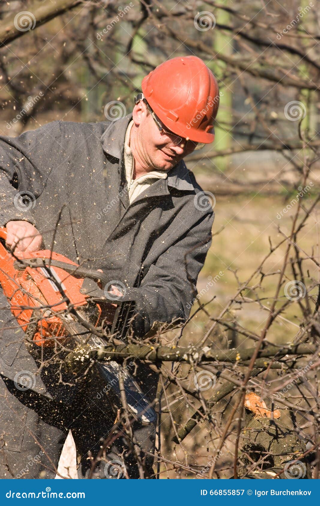 The Worker with a Manual Saw Stock Image - Image of branches, person ...