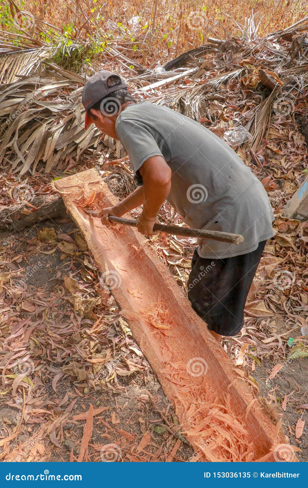 The Worker Manually Processes the Tree Trunk and Gouges with a Simple ...