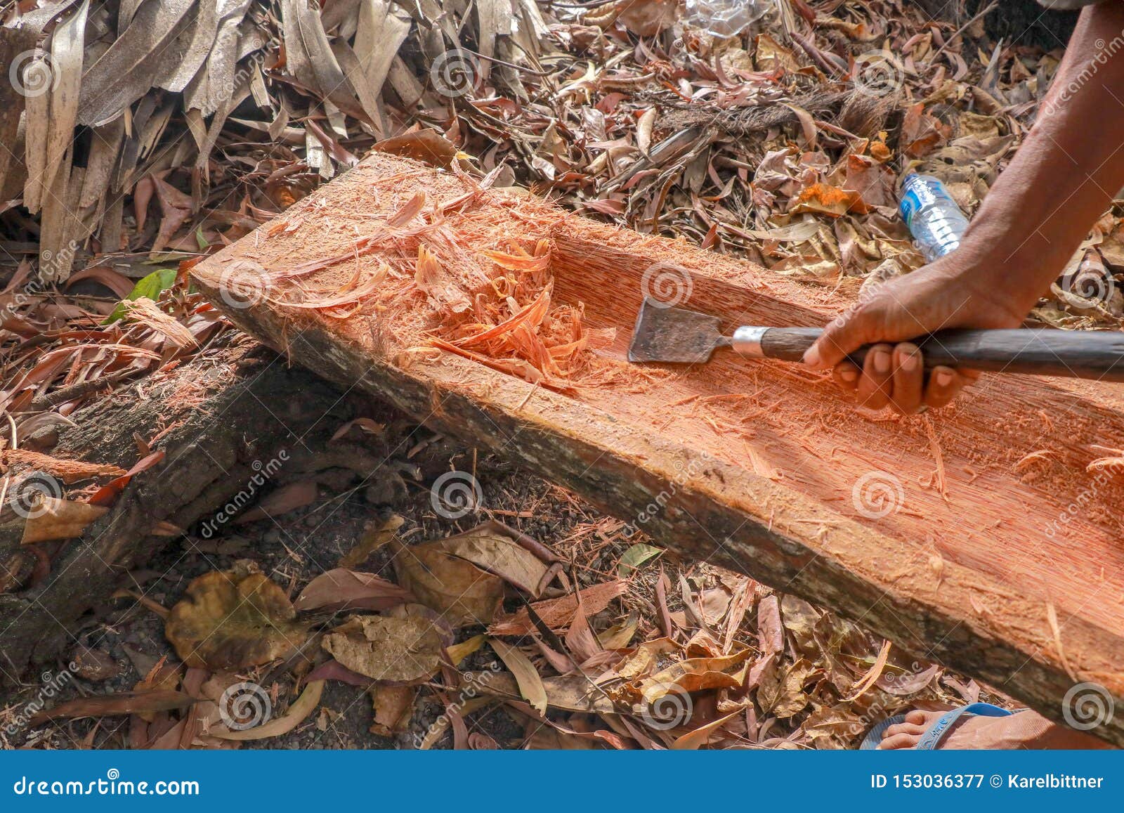 The Worker Manually Processes the Tree Trunk and Gouges with a Simple ...