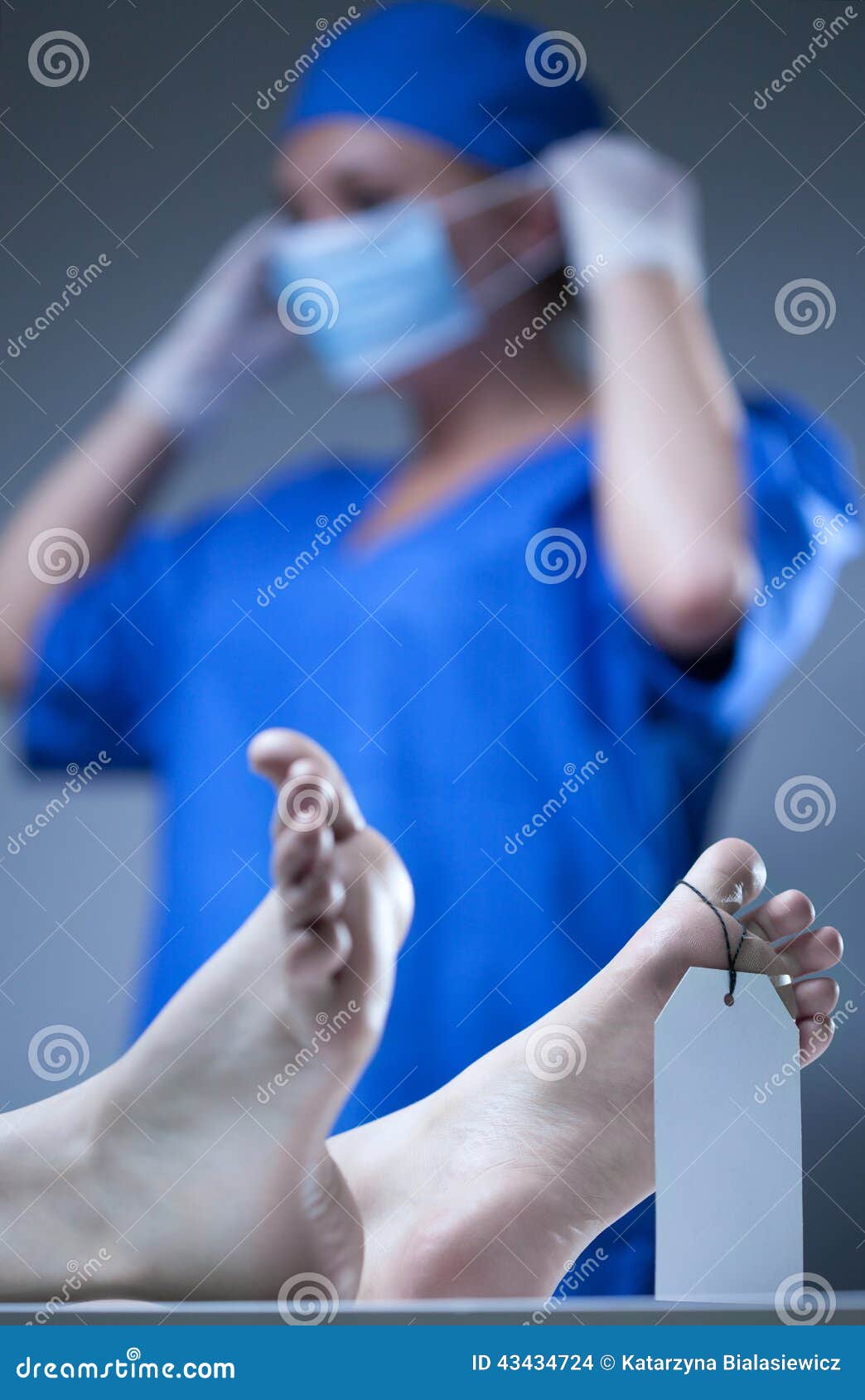 Worker of Morgue and Labeled Corpose Stock Photo - Image of foot ...