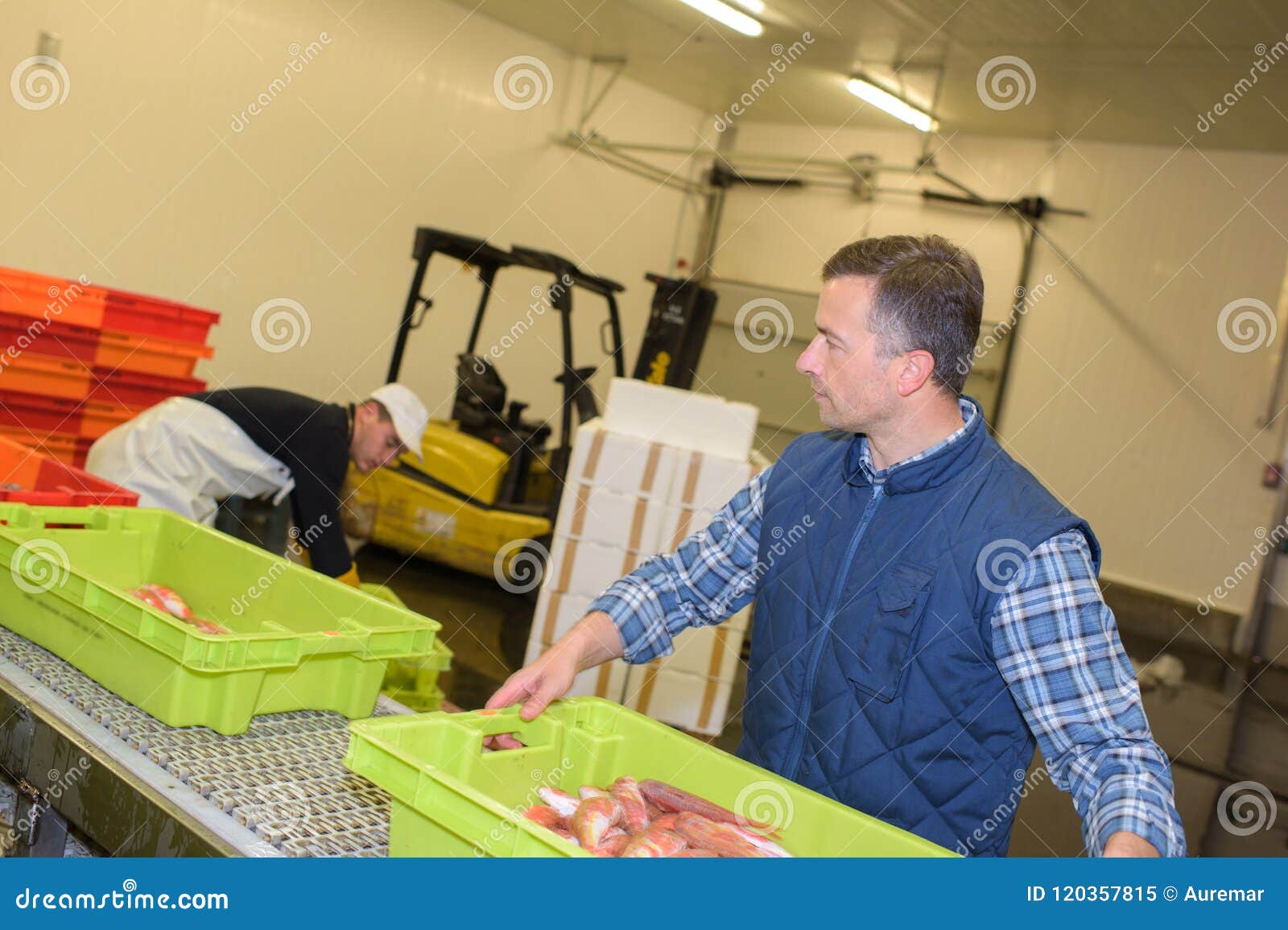 Worker Moving Plastic Crate Along Conveyor Stock Image - Image of ...