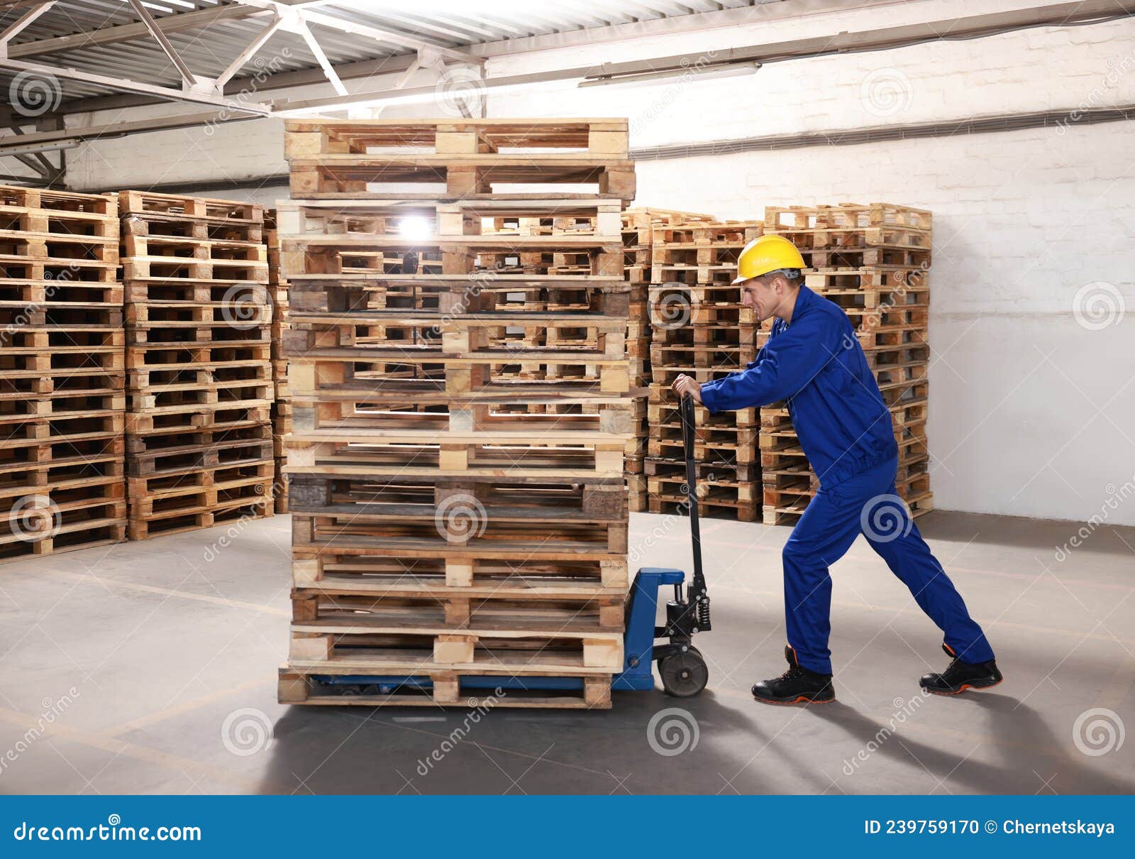 Worker Moving Wooden Pallets with Manual Forklift in Warehouse Stock ...