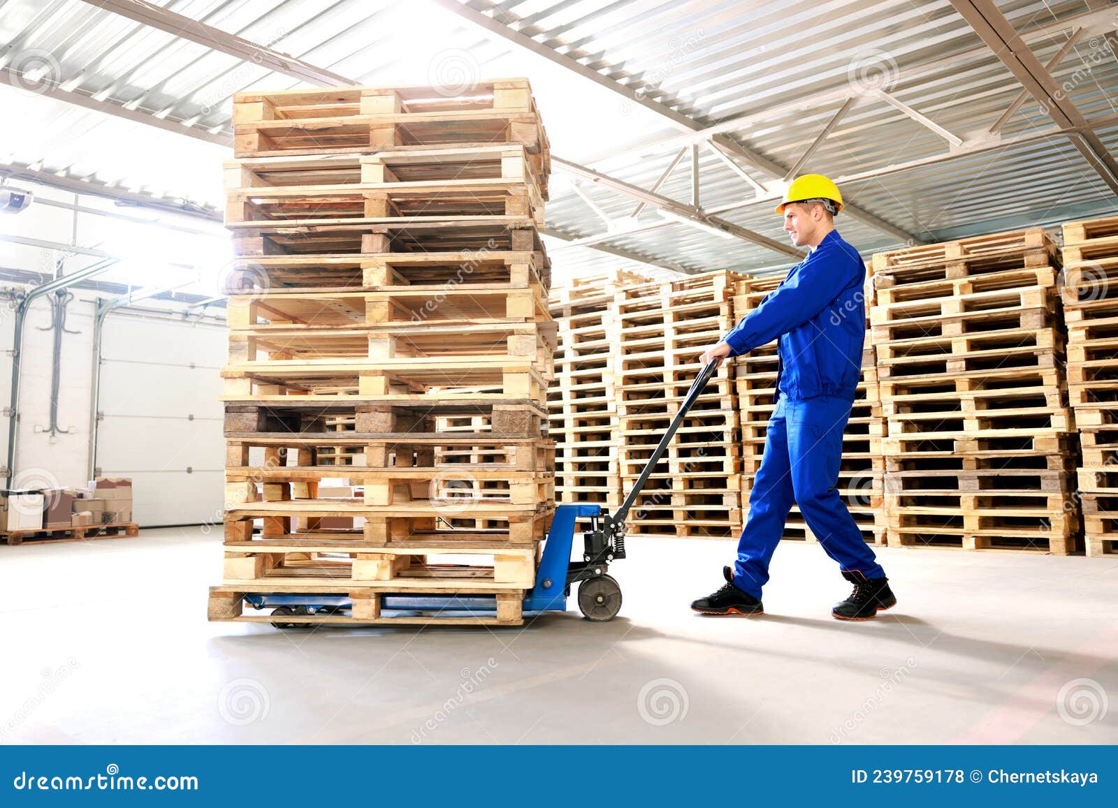 Worker Moving Wooden Pallets with Manual Forklift in Warehouse Stock ...