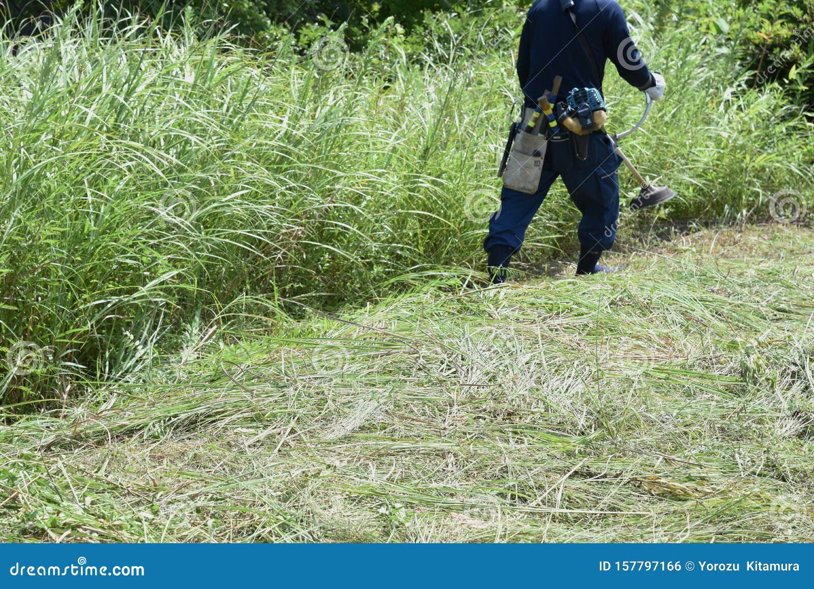 Mowing work stock photo. Image of japan, gasoline, gardening - 157797166