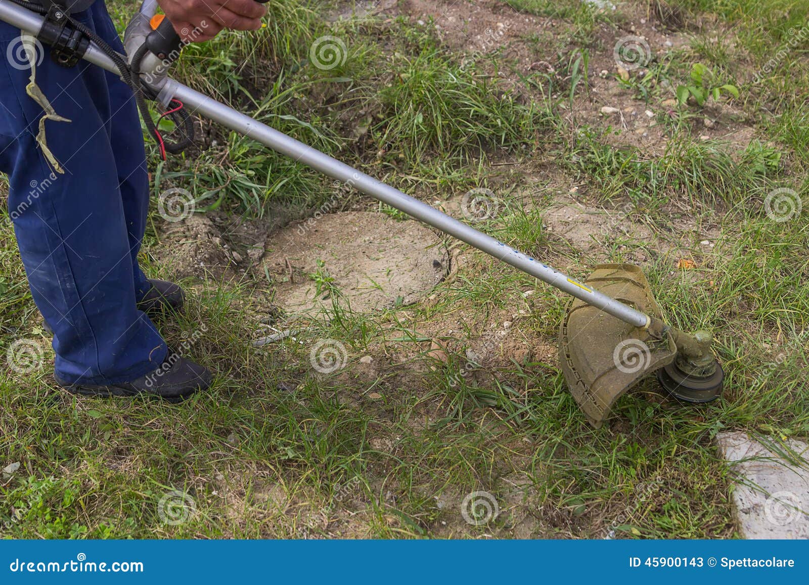 Worker Mowing the Grass with Gas String Trimmer Stock Image - Image of ...