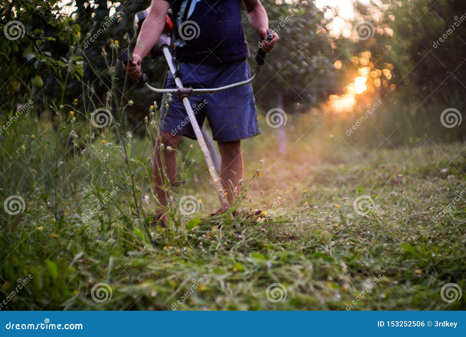 Worker Mowing Green Grass with a Trimming Machine Stock Photo - Image ...