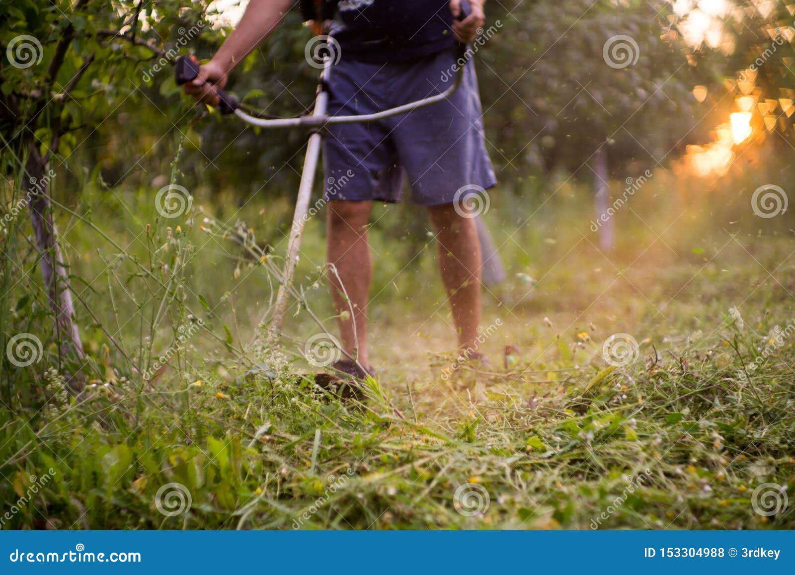 Worker Mowing Green Grass with a Trimming Machine Stock Photo - Image ...