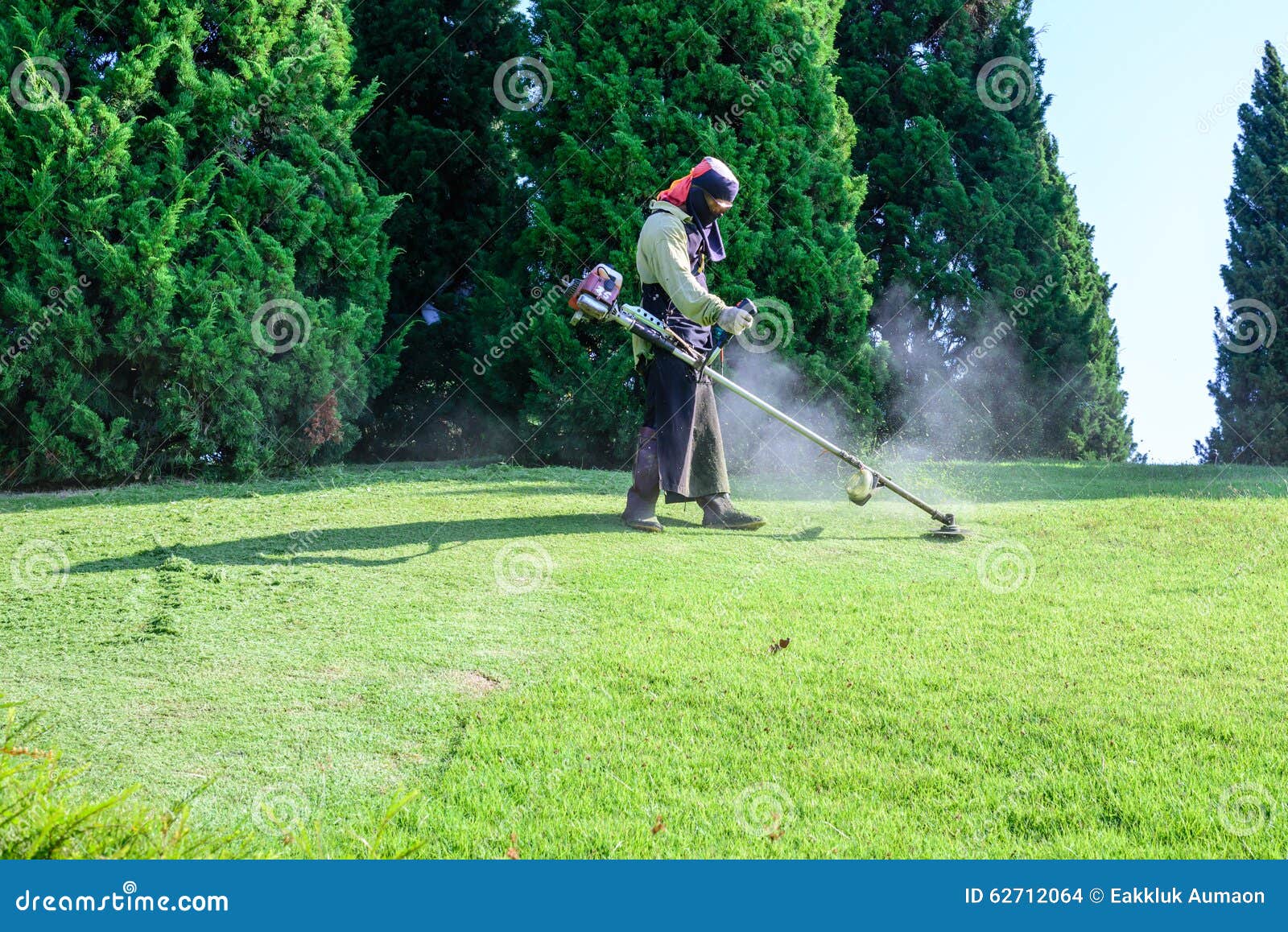 Worker Mowing Lawn And Cutting Grass Using Powerful Mower Stock Photo ...