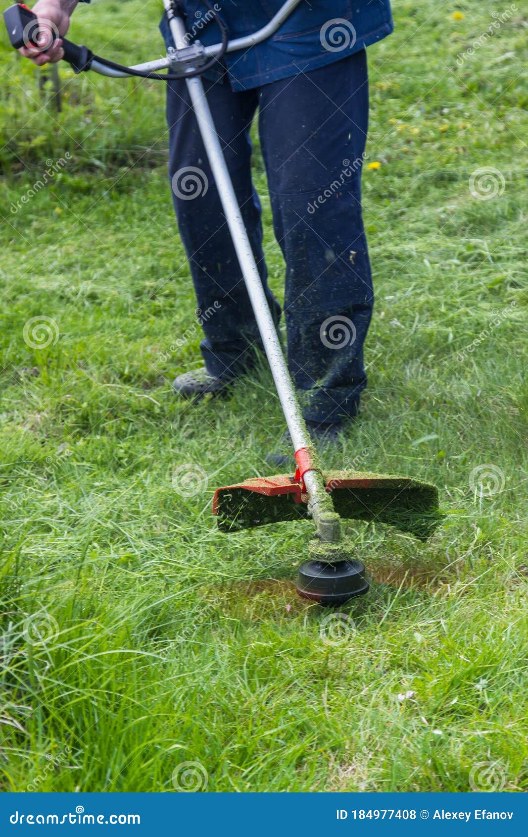 Worker Mows Grass and Weeds with a Lawn Mower Stock Photo - Image of ...