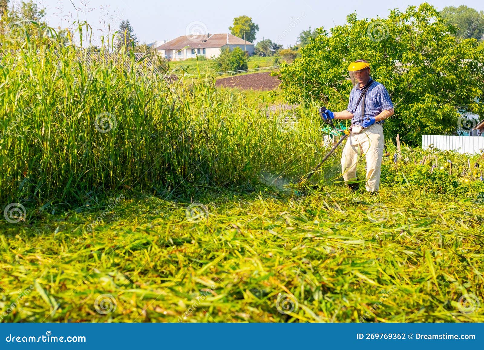 A Worker Mows Tall Grass with an Electric Trimmer Stock Photo - Image ...