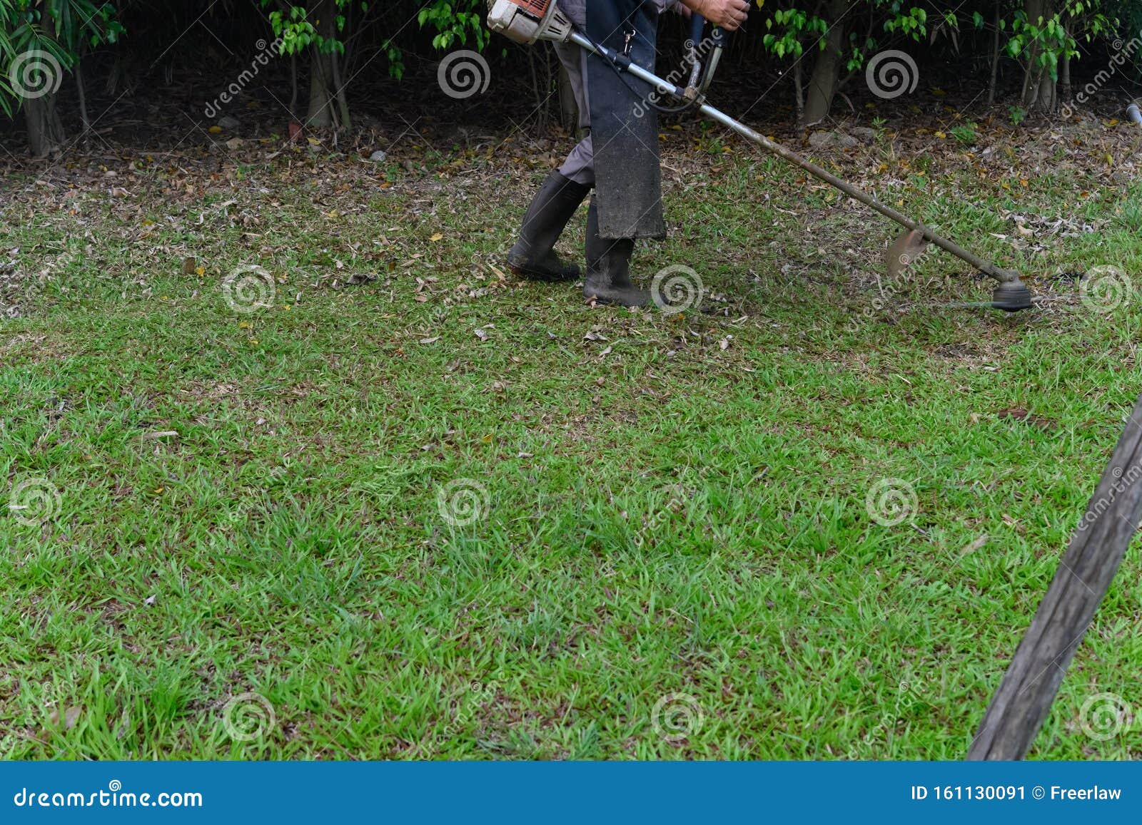 Worker Operating Handheld Lawn Mower and Cutting Grass Stock Image ...