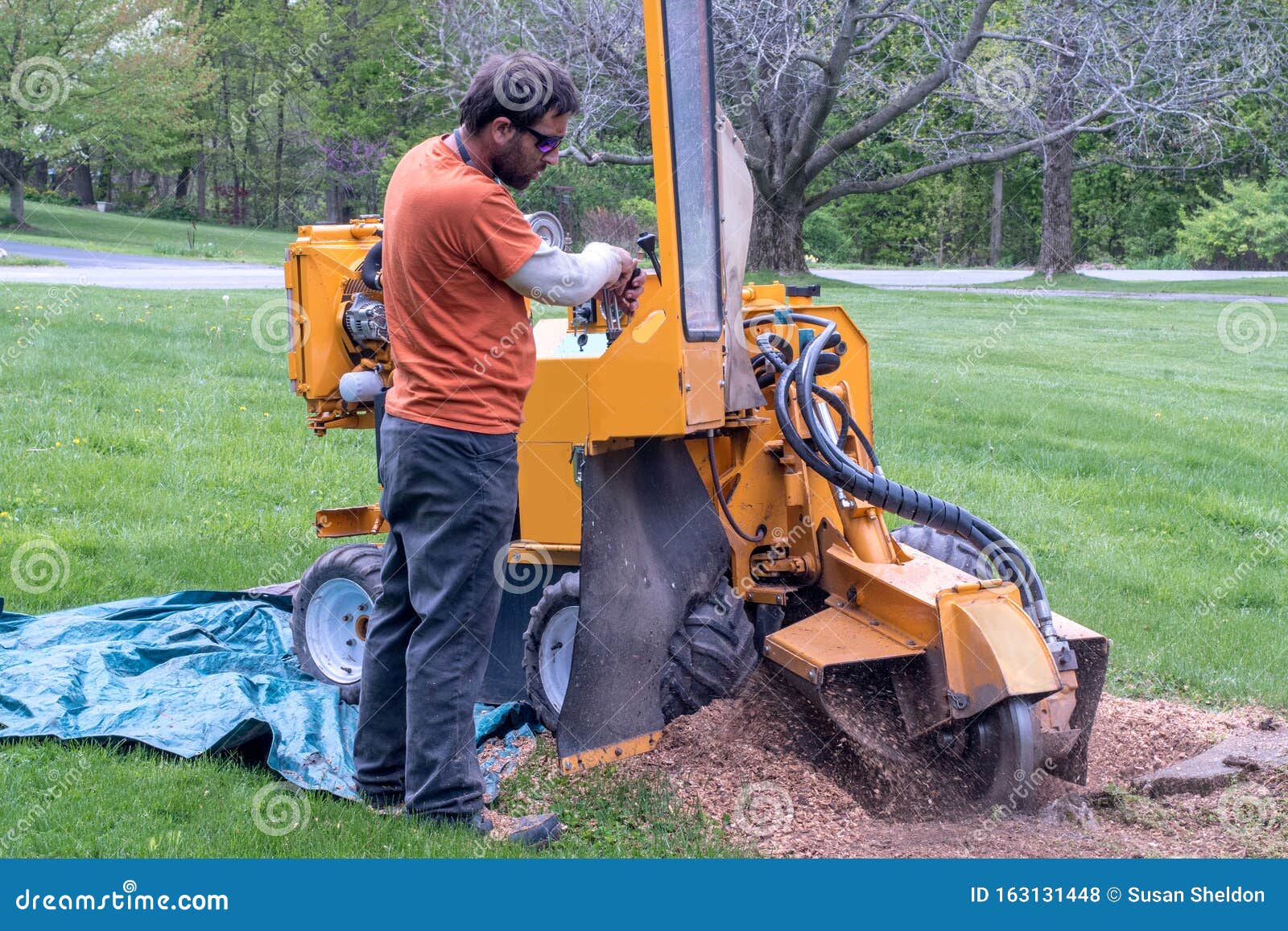 Stump Grinder Removing A Cut Tree Stock Photography | CartoonDealer.com ...