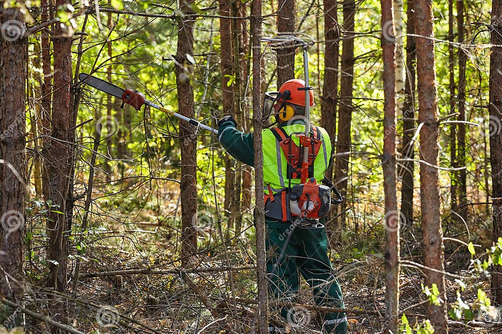 Worker in a Protective Suit Clears the Forest from Branches with a Pole ...