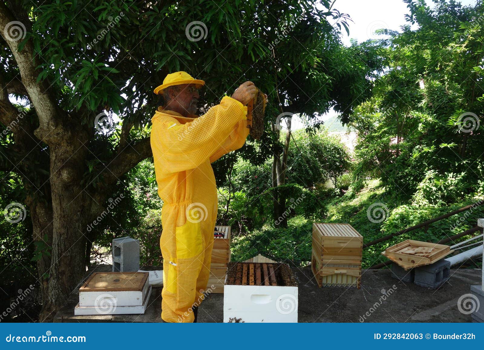 A Beekeeper Working at an Apiary in the Southern Caribbean Stock Image ...