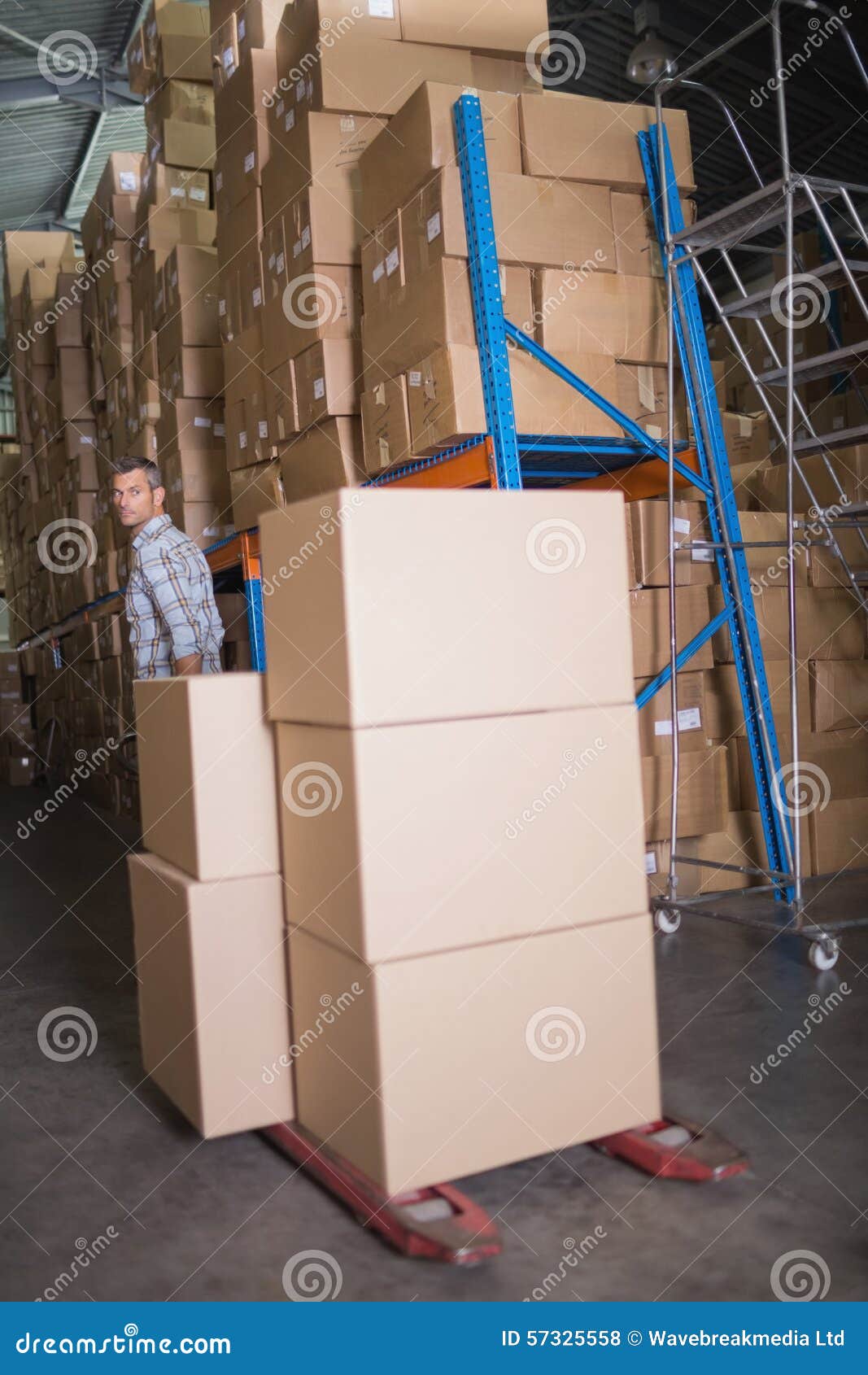 Worker Pulling Trolley with Boxes in Warehouse Stock Photo - Image of ...