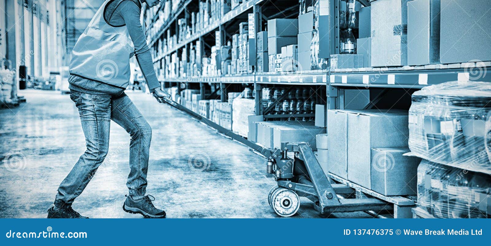 Worker Pushing Trolley with Boxes Stock Image - Image of adult, factory ...