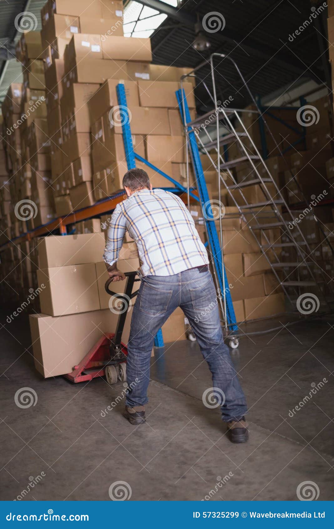 Worker Pushing Trolley with Boxes in Warehouse Stock Image - Image of ...